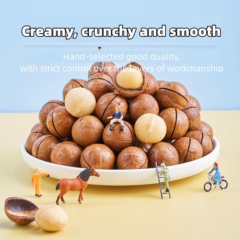 Mr Squirrel 500g Macadamia Nuts Roasted To Eat Queen Nuts No Additives ...