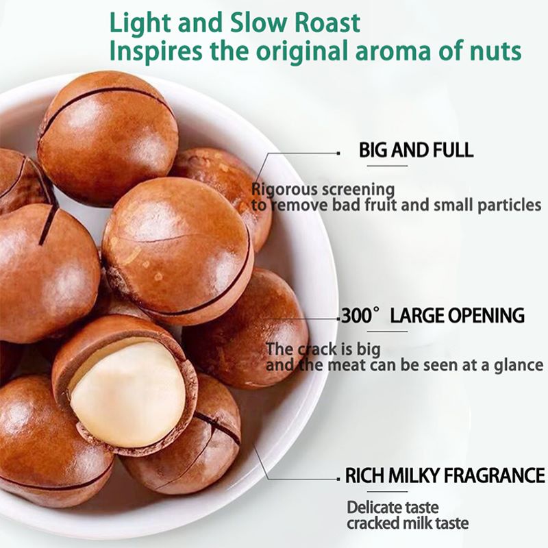 Mr Squirrel 500g Macadamia Nuts Roasted To Eat Queen Nuts No Additives ...