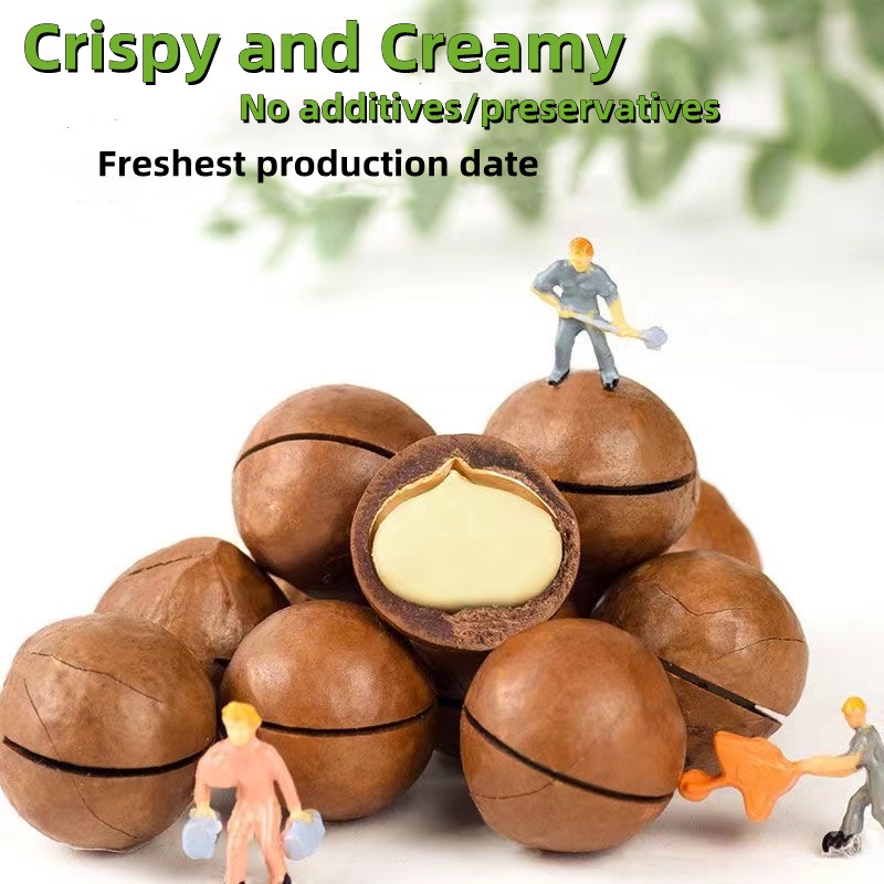 Mr Squirrel 500g Macadamia Nuts Roasted To Eat Queen Nuts No Additives ...