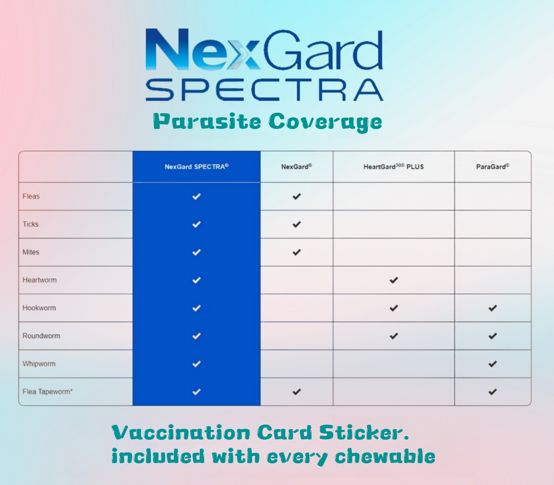 Nexgard Spectra Deworming Chewables Tablet for Dogs Anti Tick and Flea ...