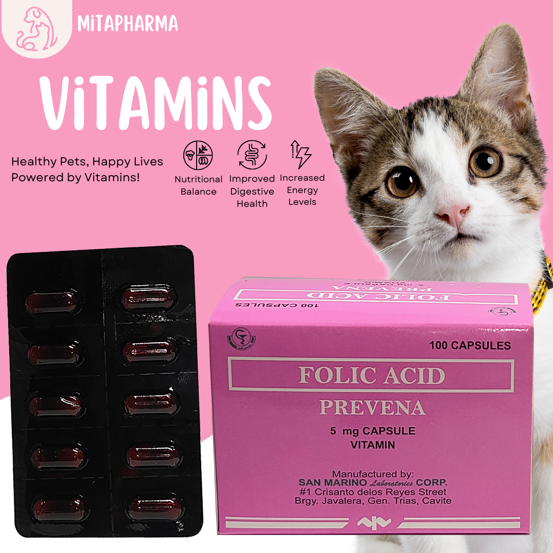 Pet Folic 5mg vitamin b9 100 capsules (PREVENA) | Shopee Singapore