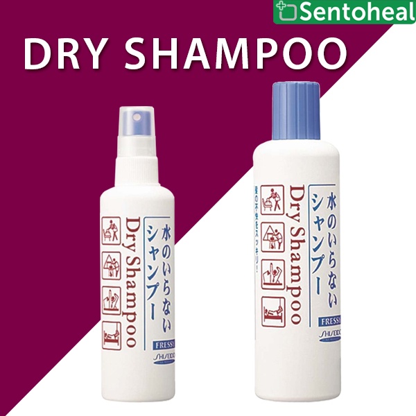 Kao Merit Day + Plus Dry Shampoo Sheets 12 sheets/ Merit Kids ...
