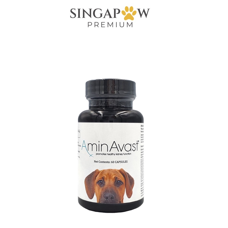 AminAvast Dog Natural Kidney Support 60 Capsules / Dog Supplement / Pet ...