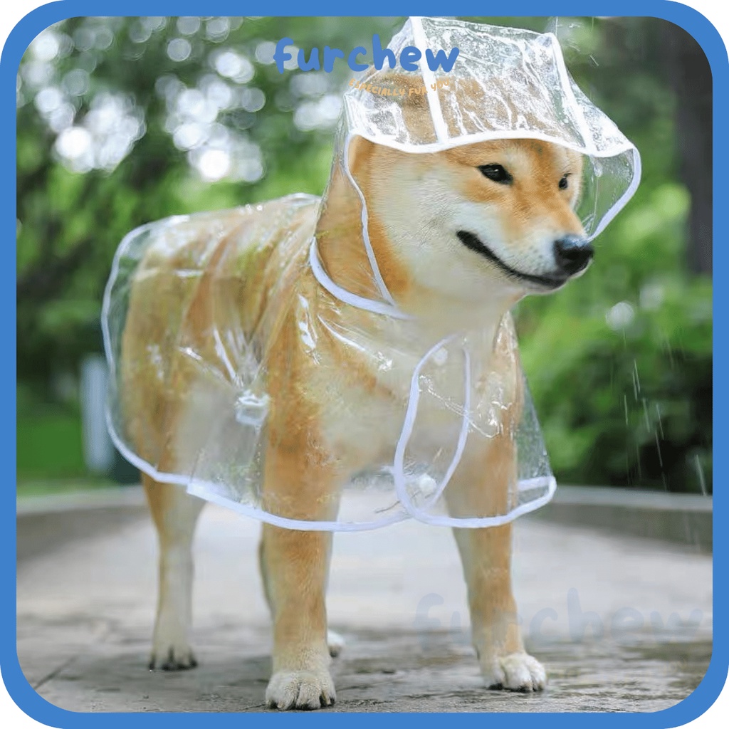 [SG] Transparent White Pet Raincoat for Raining Days & Season ...