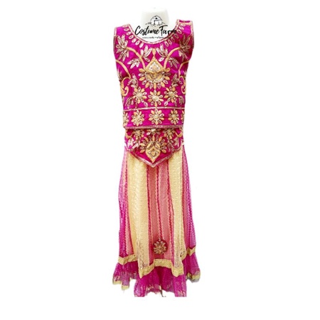 Traditional Ethnic Indian Girl Costume Saree Dress Lehenga for ...