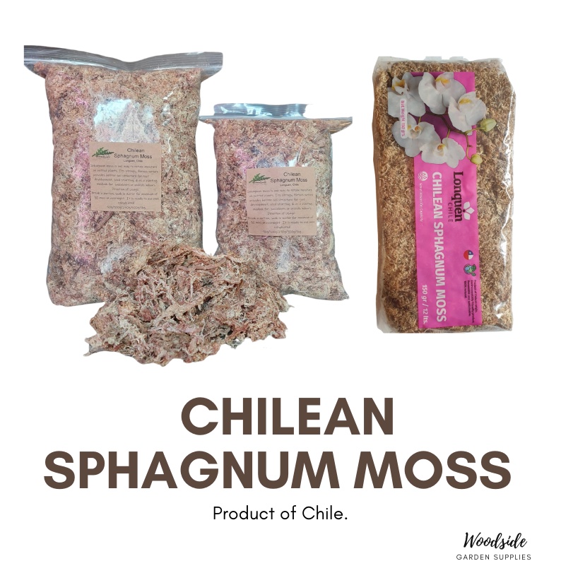 Chilean Sphagnum Moss for Gardening(50g/150g/250g/500g) | Shopee Singapore