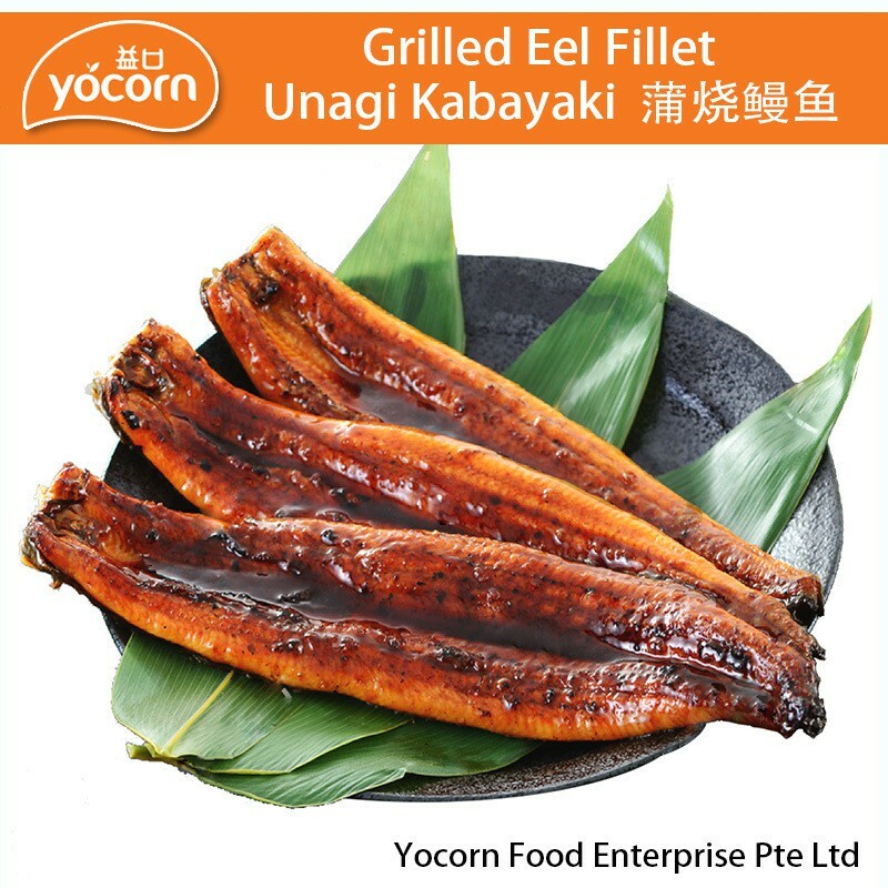 [YOCORN] Japanese Grilled Eel Fillet/Unagi Kabayaki 烤鳗鱼 （220-230G/PCS ...
