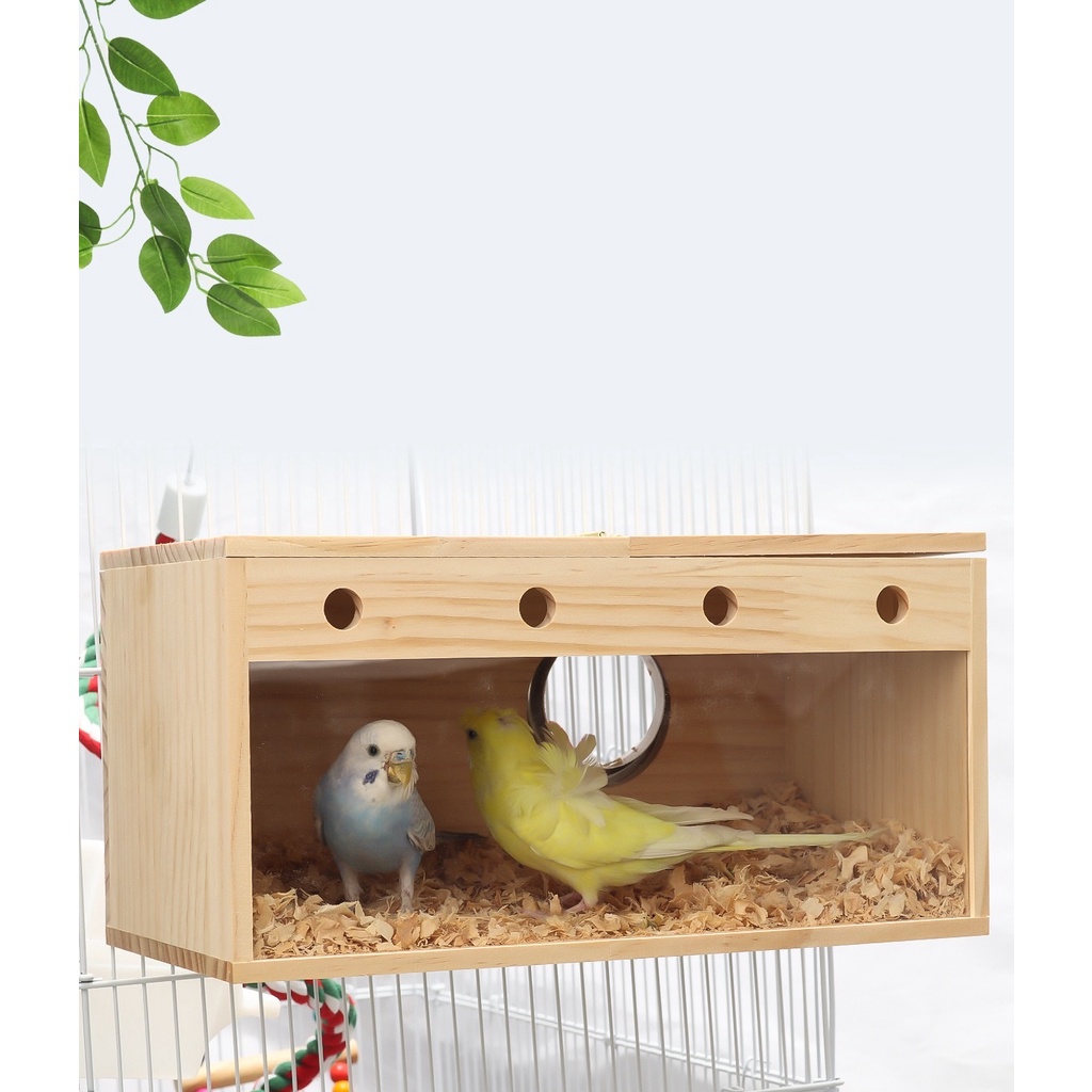 Transparent Parrot Breeding Box | Hanging Bird's Nest | Bird's House ...