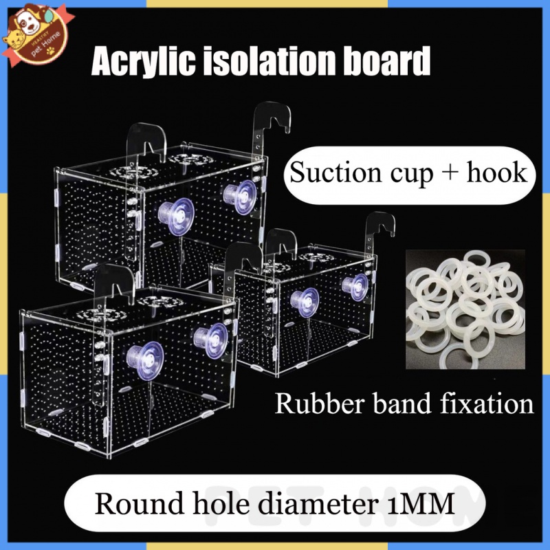 Fish Tank Isolation Box Transparent Acrylic Fish Seedling Incubator ...