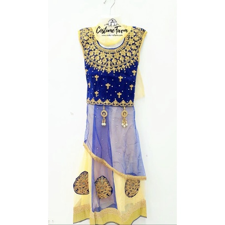 SG Ready stock Indian Girl Traditional Ethnic Costume Saree Dress ...