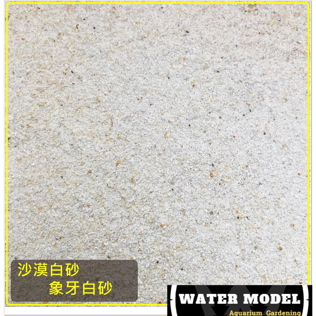 Water Model Aquarium Desert White Sand 500g/1.0kg Fine Ivory Bottom ...