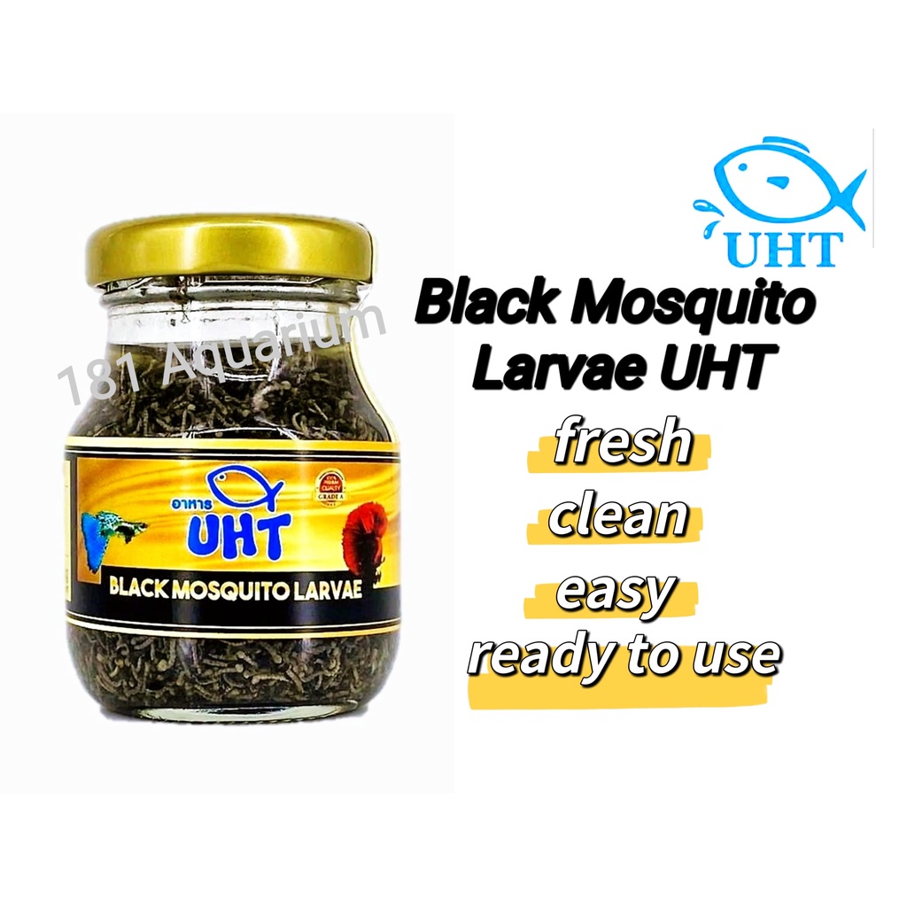UHT Black Mosquito Larvae - 75g (Bottled) | Shopee Singapore