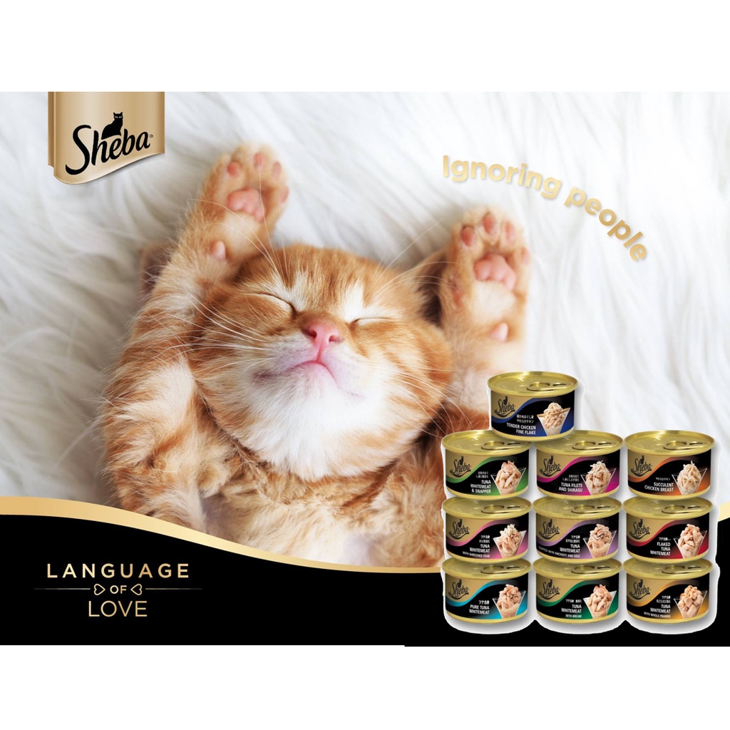 Sheba Cat Wet Canned Food | Shopee Singapore