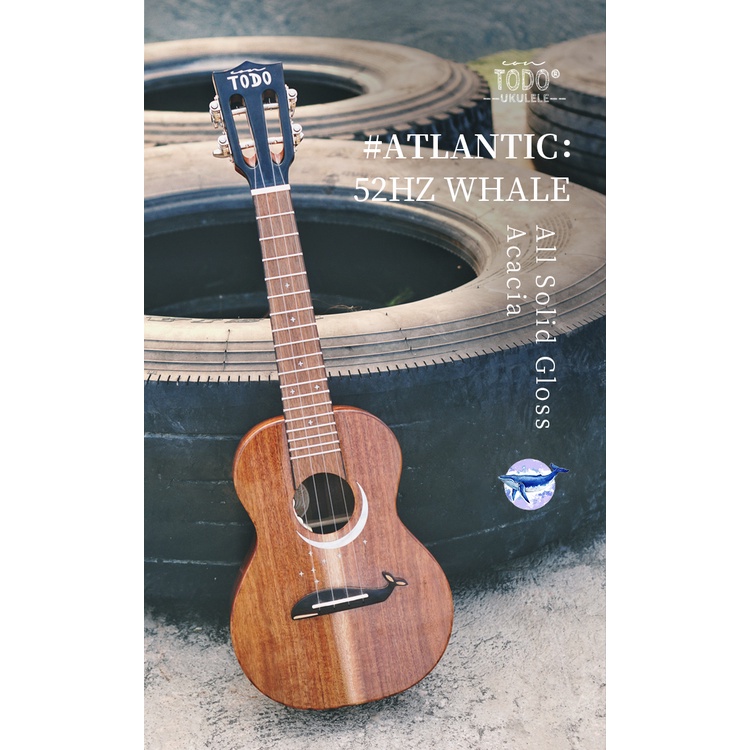 (TODO x Refine Life) Limited Edition (52Hz Whale) All Solid Acacia ...