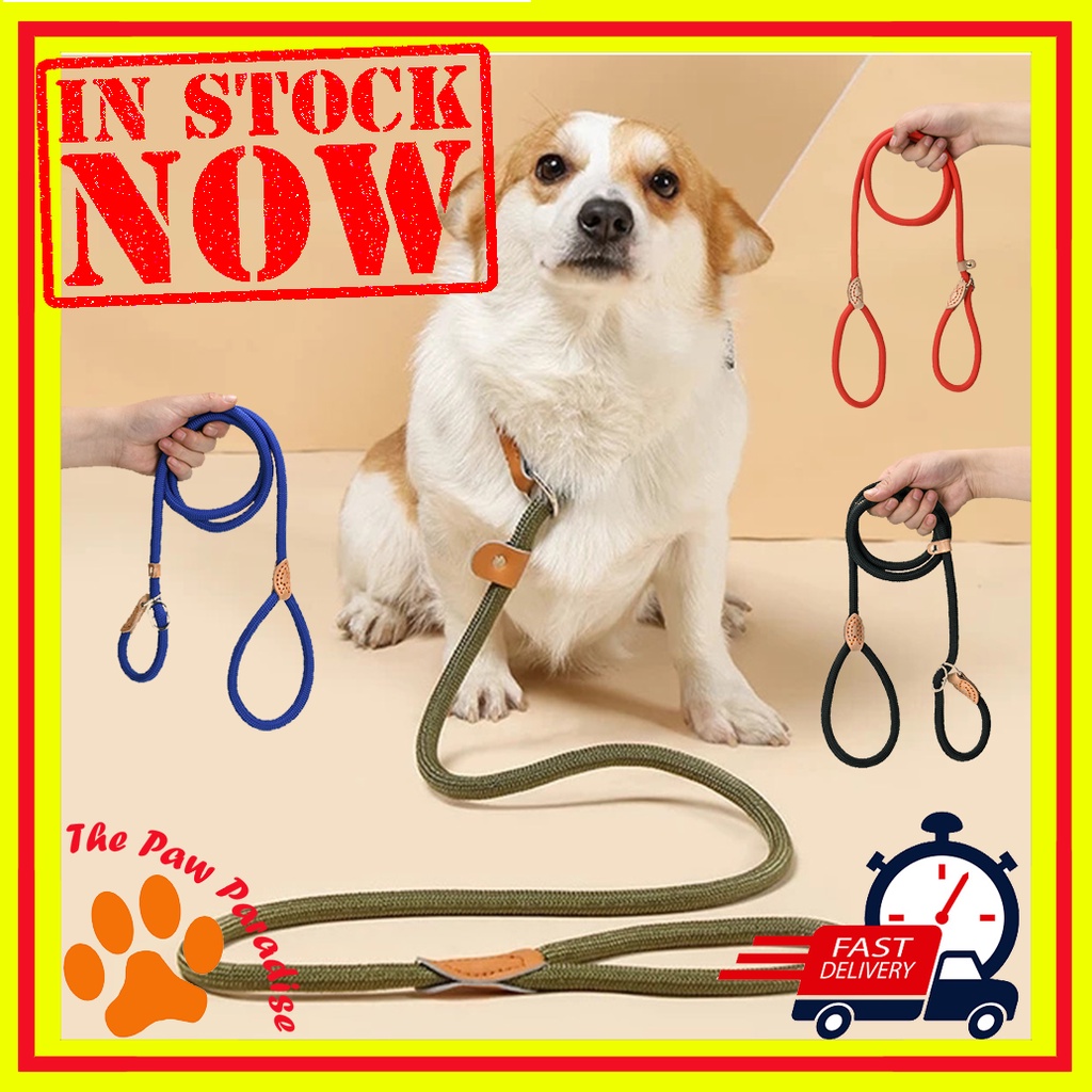 Dog Training Leash Slip Leash Pet Lead Leash Adjustable Dog Collar ...