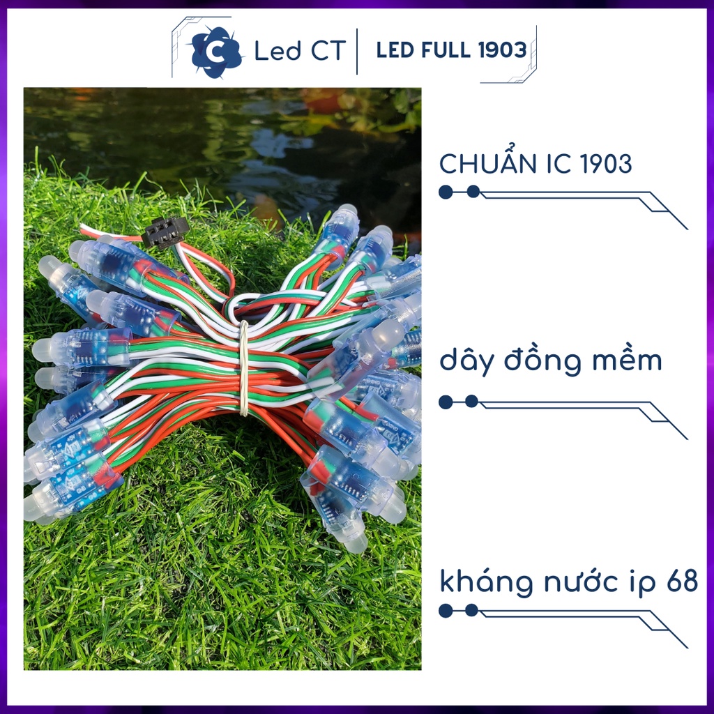 Genuine full 1903, 2811 LEDs for electric fireworks LEDs, fireworks LEDs (1 string of 50 bulbs ...