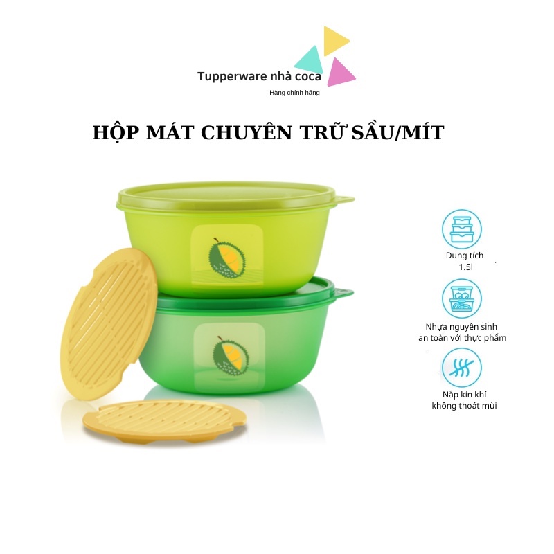 Tupperware durian/meaning box Set | Shopee Singapore