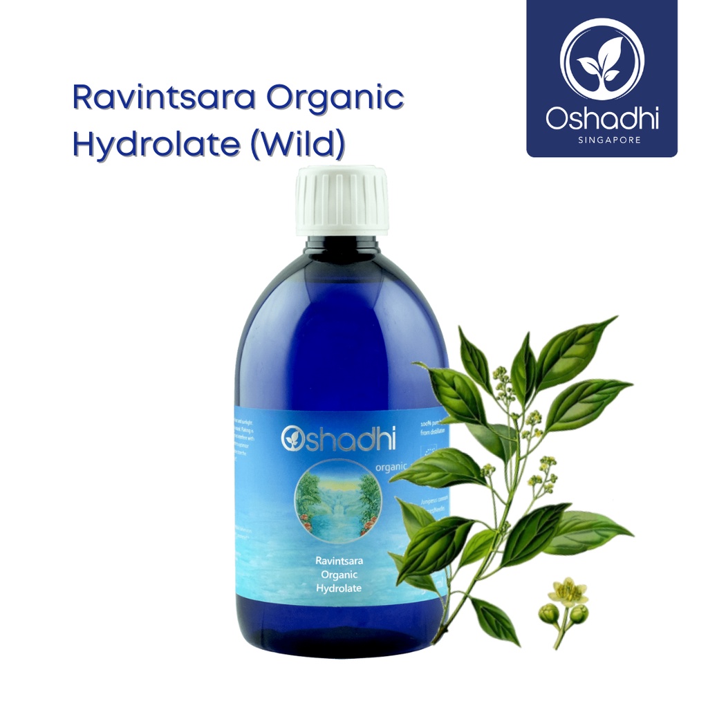 Ravintsara Organic Hydrolate / Hydrosol / Hydrolat (Wild) – 500ml 桉油樟（罗文莎叶）有机纯露 （500ML） | Shopee ...