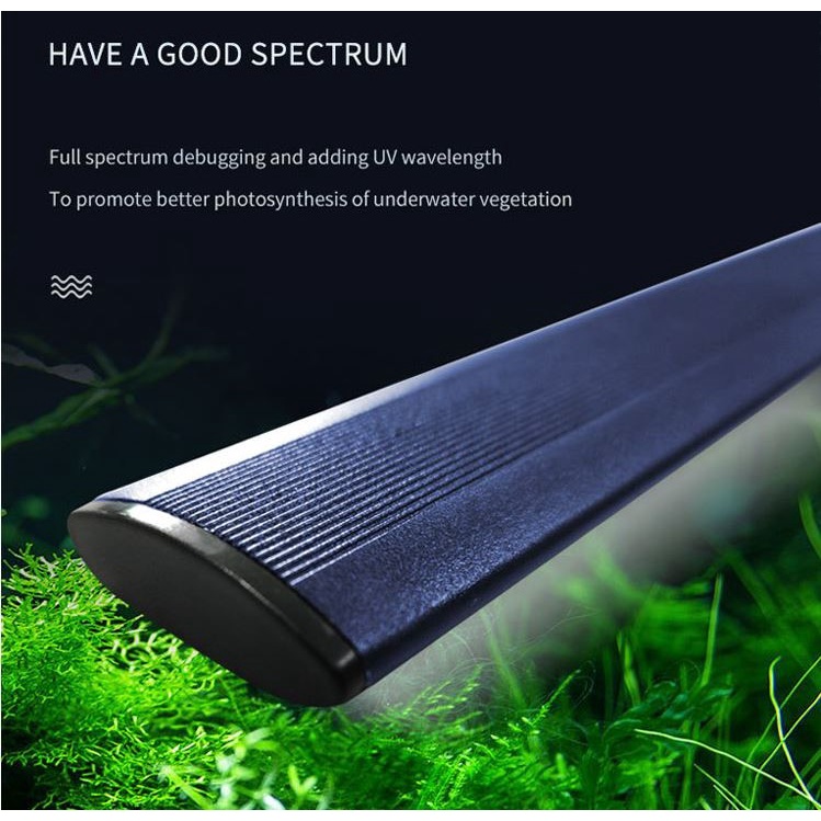 🔥Mayin authorized SG seller🔥Mayin fish light tanning light 13000k/2700k ...