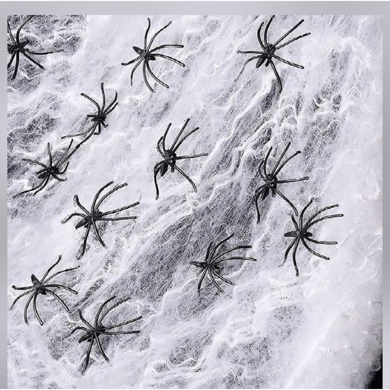 [Ready Stock] (100g/+20pcs)Pack )~Artificial Stretchable Spider Webs ...