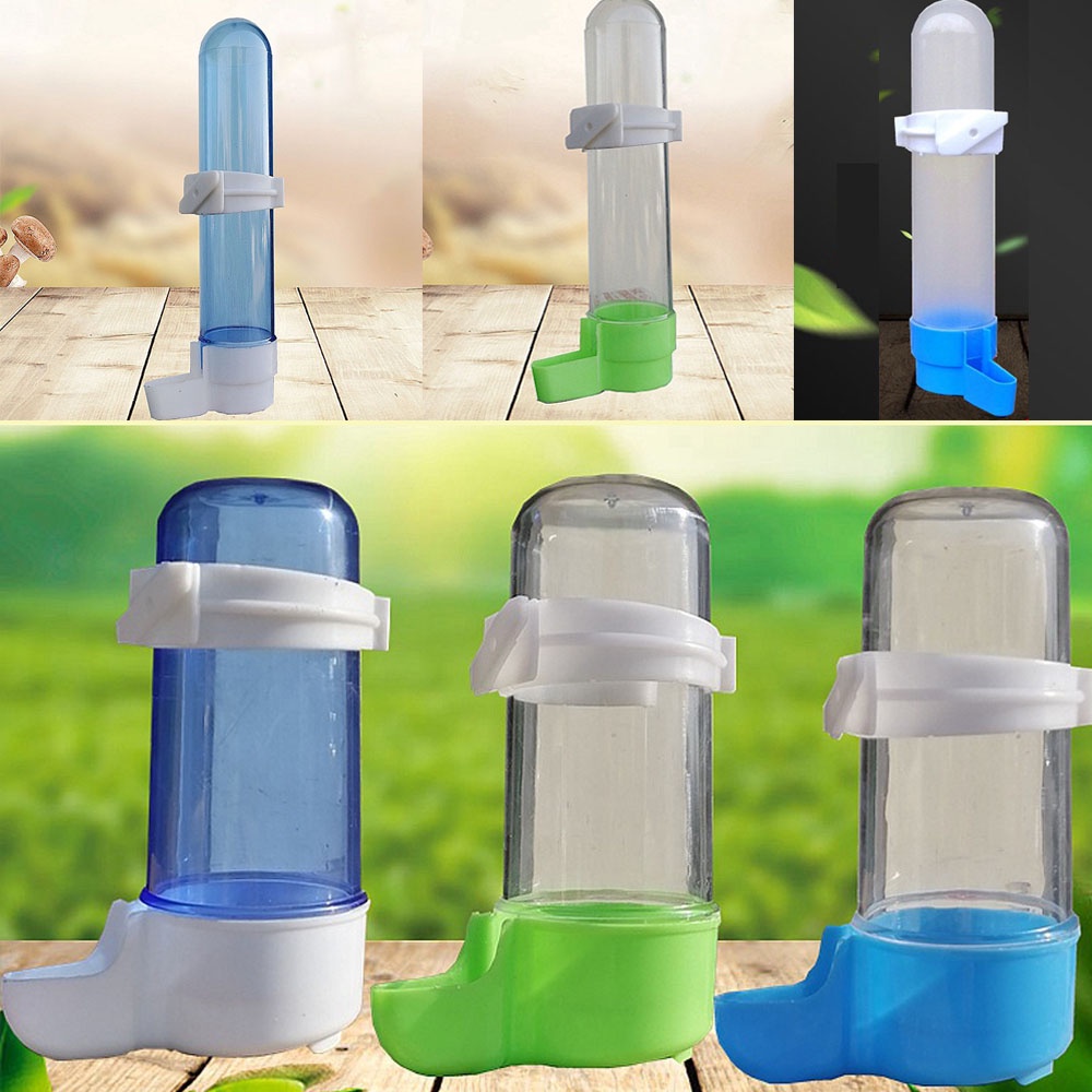Bird Drinker Parrots Feeder Automatic Waterer with Clips 240ml/120ml ...