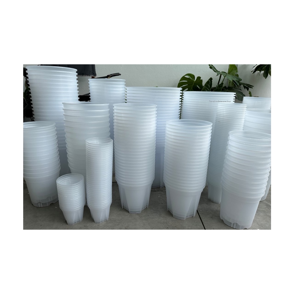 Transparent Clear Aroid Pot, Indoor Plant Pot, Pasu Bunga, Plastic ...