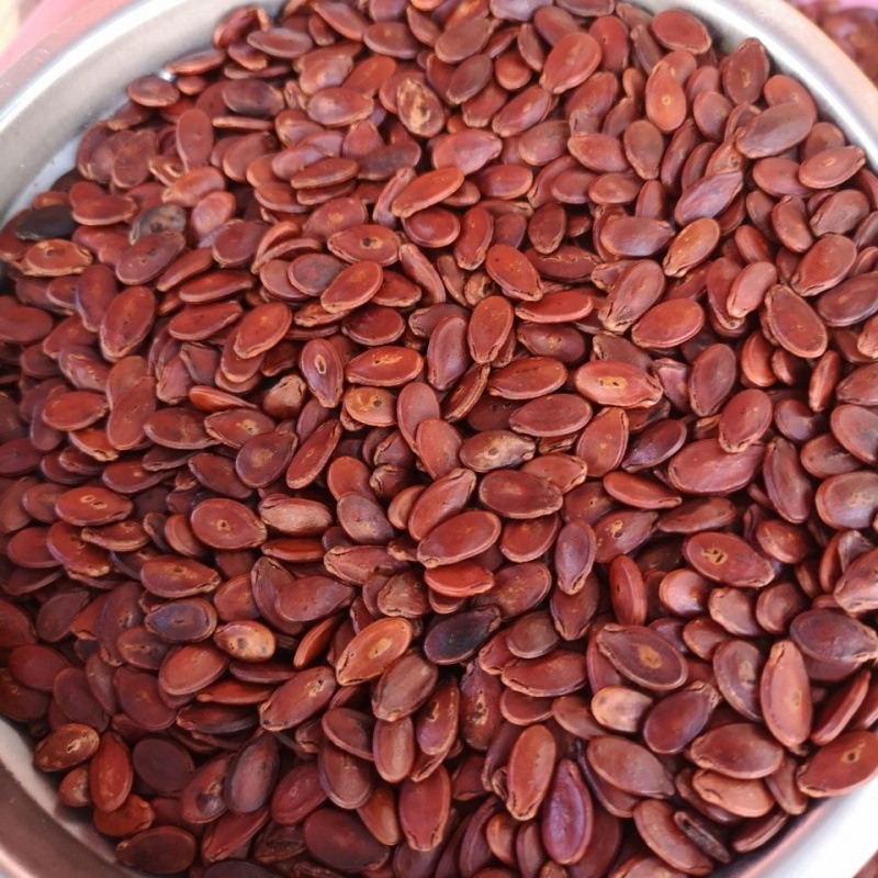 [Ready Stock] Combo 500g Red Melon Seeds / Gia Long Hand Roasted Clean ...