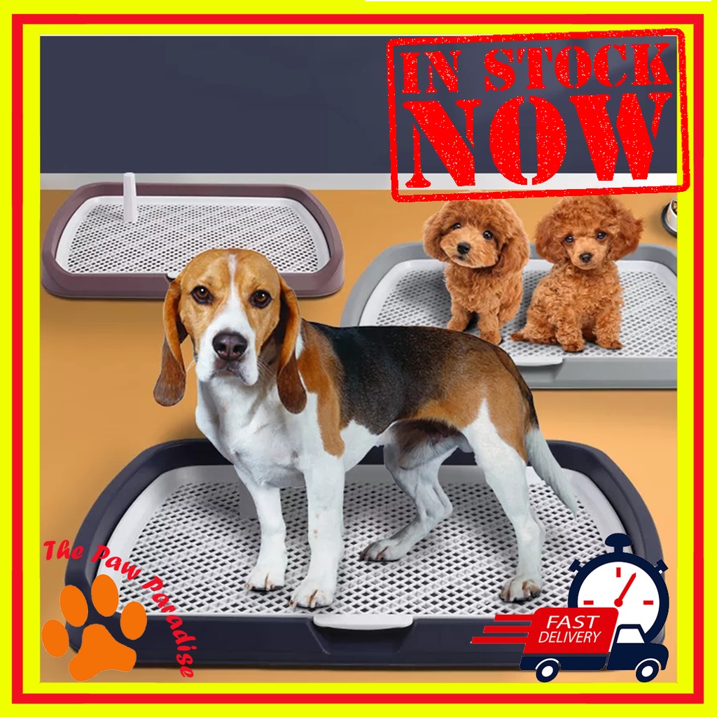 Dog Pee Tray Toilet Large Space Heightened Splash Proof Pet Toilet ...