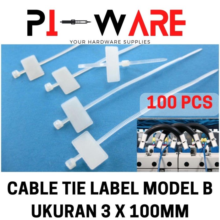 Cable Ties Tie with 3 x 100mm Label Tag Model B 100Pc | Shopee Singapore