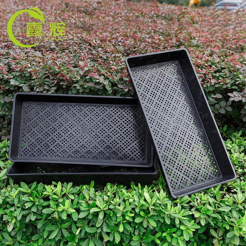 Sprout Tray Nursery Basin Seedling Plate Breeding Rice Seedling Tray ...