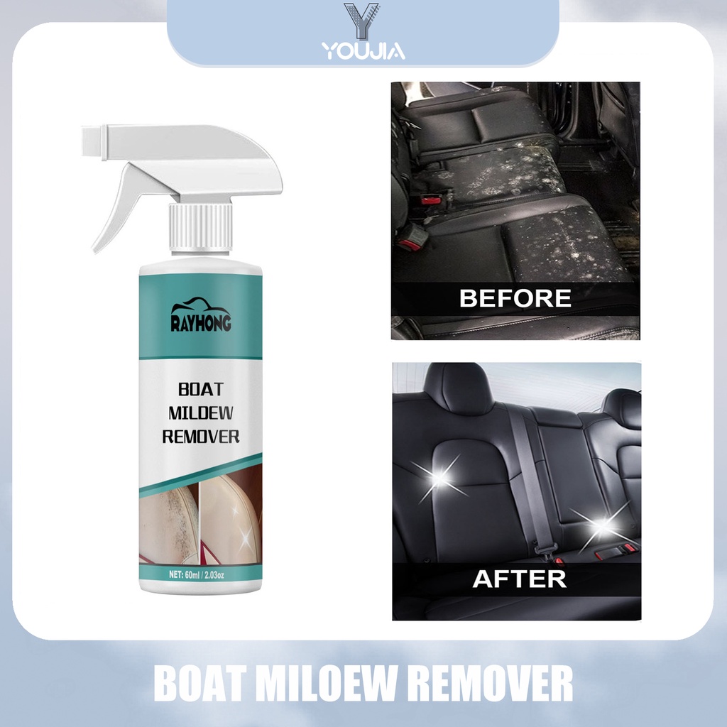 RAYHONG Car Mildew Remover Multi-Functional Cleaner Fabric Leather Seat ...