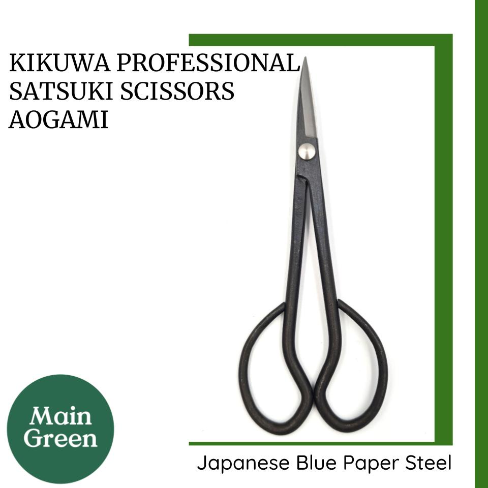 Kikuwa Japanese Blue Paper Steel Aogami Bonsai Satsuki Scissors ...