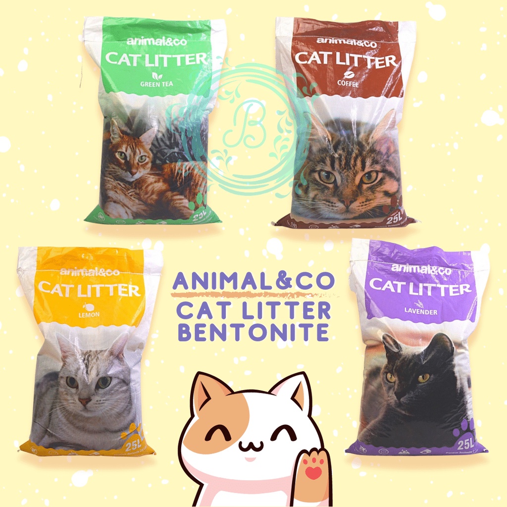 Animal&co Bentonite Cat Litter 10L Blocked Cat Sand Animal Co Animalco ...