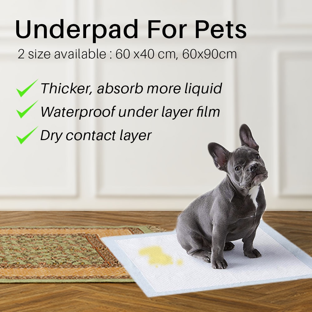 Pet Underpad 2 Packs (20pcs)/ Pet Underpad 2 包 (20pcs)/ Pet Bottom Pad 2 Pack (20pcs). 60x40cm ...