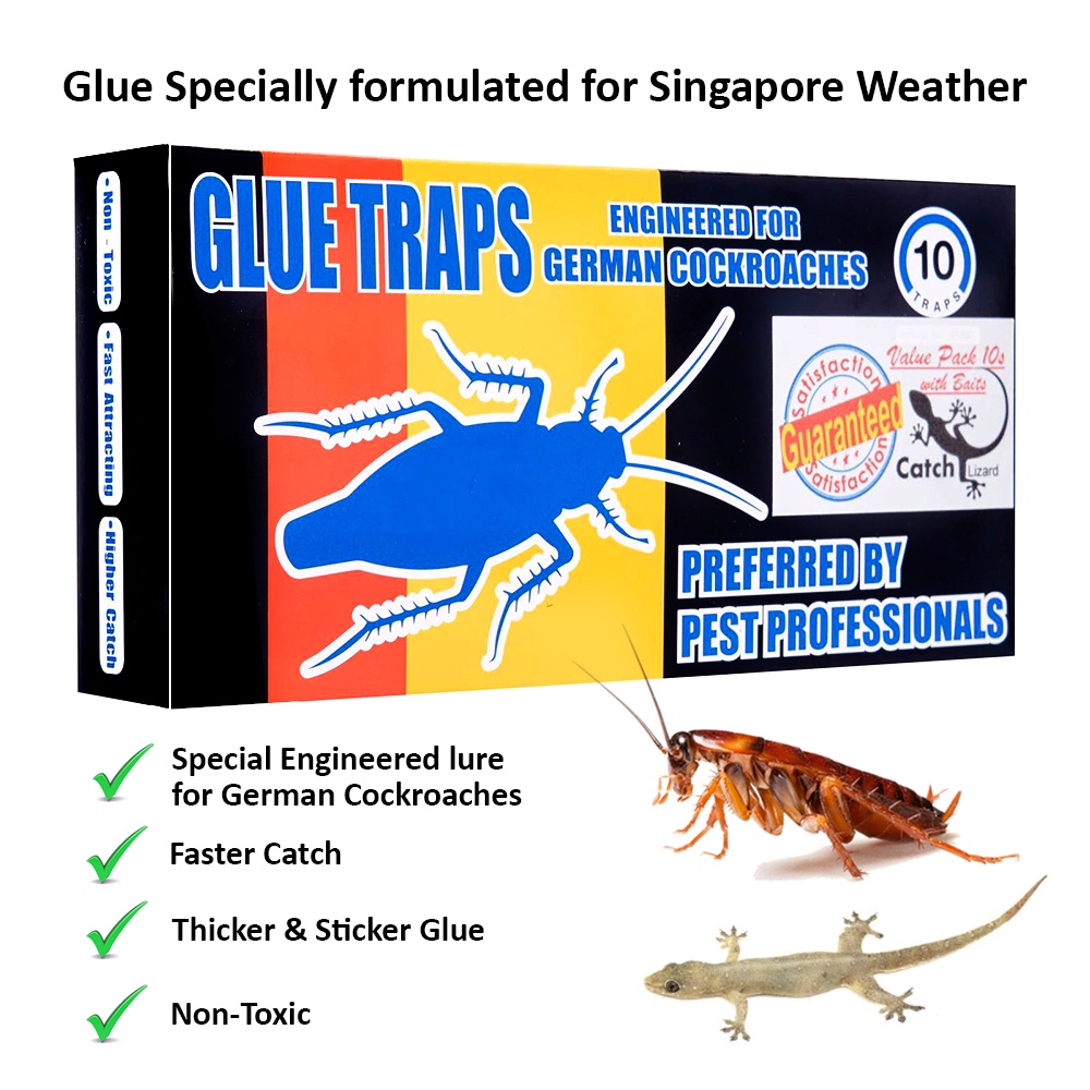 10 Glue Traps Engineered For German Cockroaches | Preferred by Pest ...
