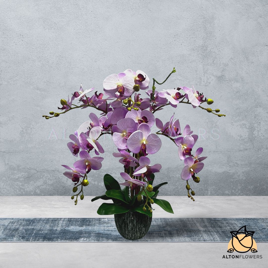 6 Stalks Phalaenopsis Orchid Table Arrangement in Ceramic Vase Office ...