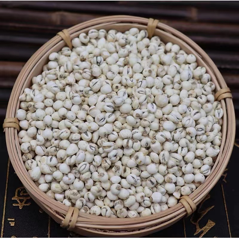 Chuan Bei/Fritillaria Bulbs/Powder 川贝粒/川贝粉 50G | Shopee Singapore