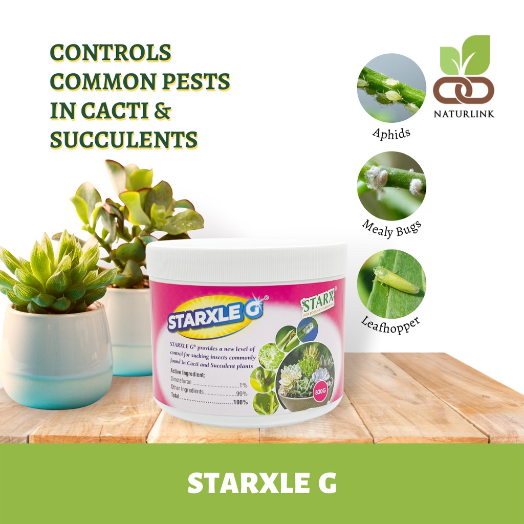 STARXLE G Pesticide (830g) - control sucking insects | Highly Effective ...