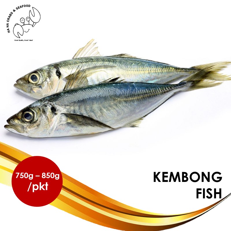 Kembong Fish ( 1Kg/Pkt ) (4 to 8 Pcs) | Shopee Singapore