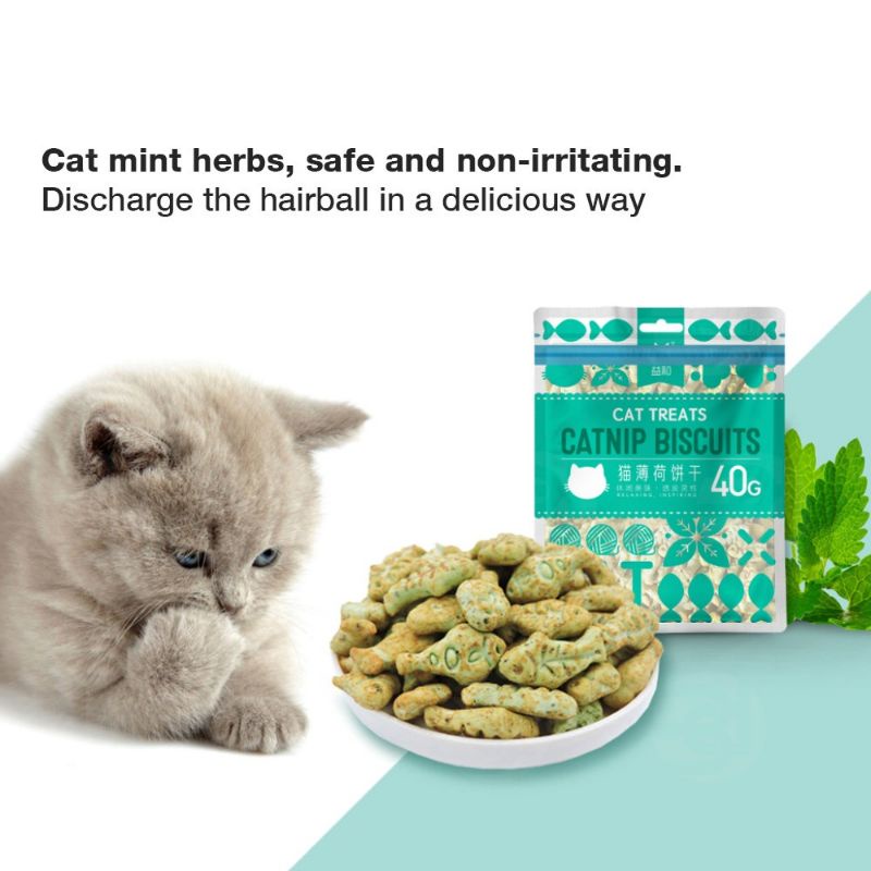 Catnip Biscuits Cat Treat (40g) | Shopee Singapore