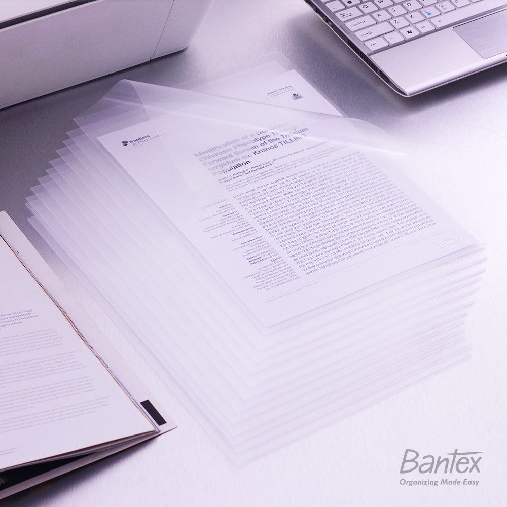 Folder L Clear Plastic Clear Sleeve L Folder Folio F4 Transparent 2248 ...