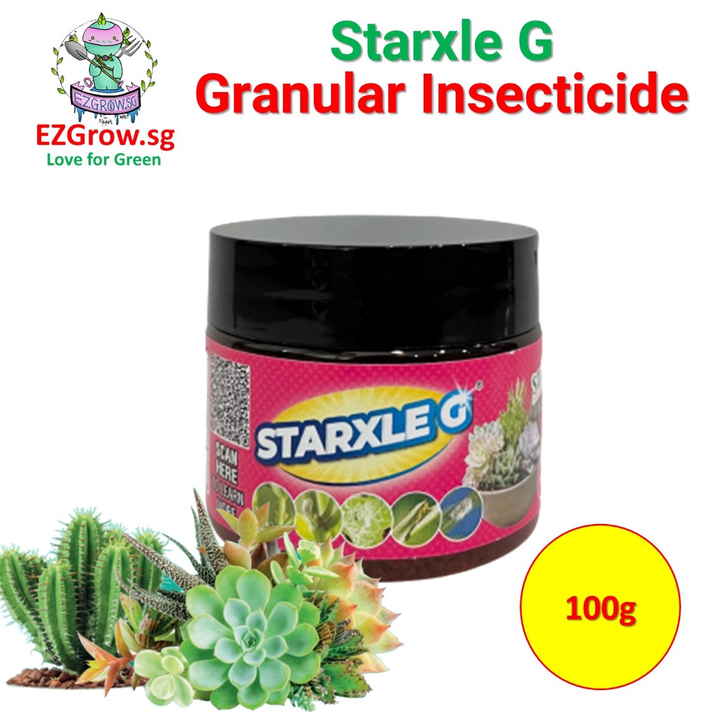 STARXLE G Systemic Insecticide Against Sucking Insects Environmentally ...