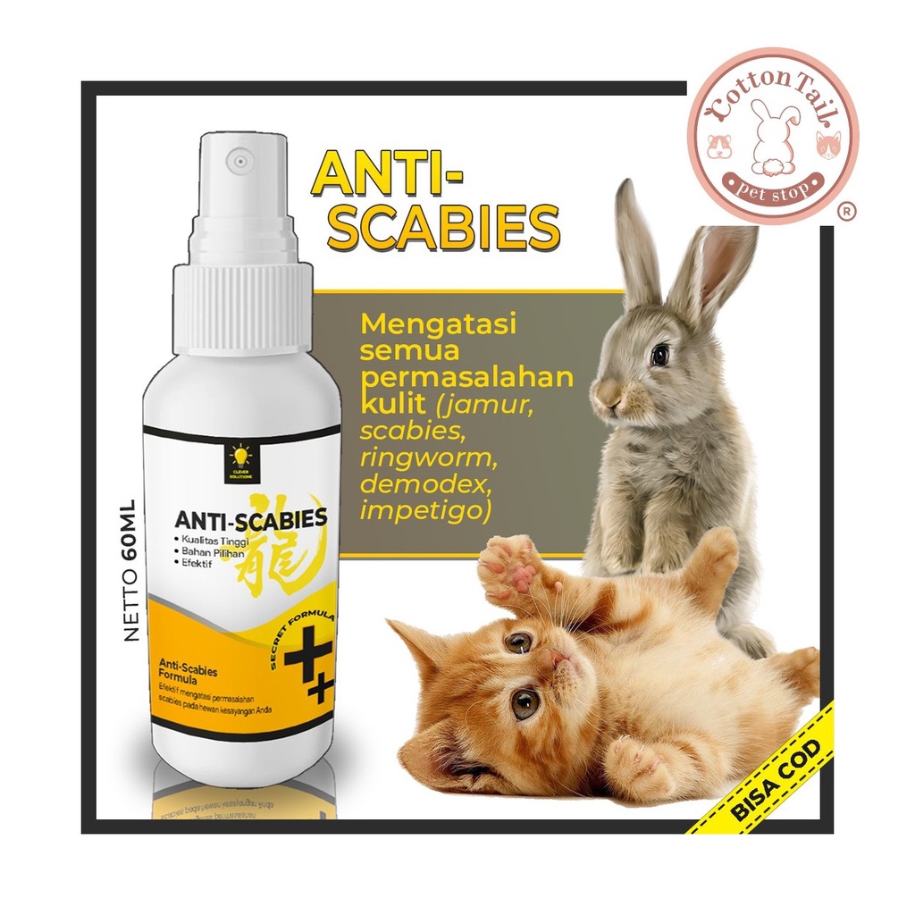 Anti Scabies Medicine For Cat Fungus/Rabbit Scabies/Demodex/Impetigo ...