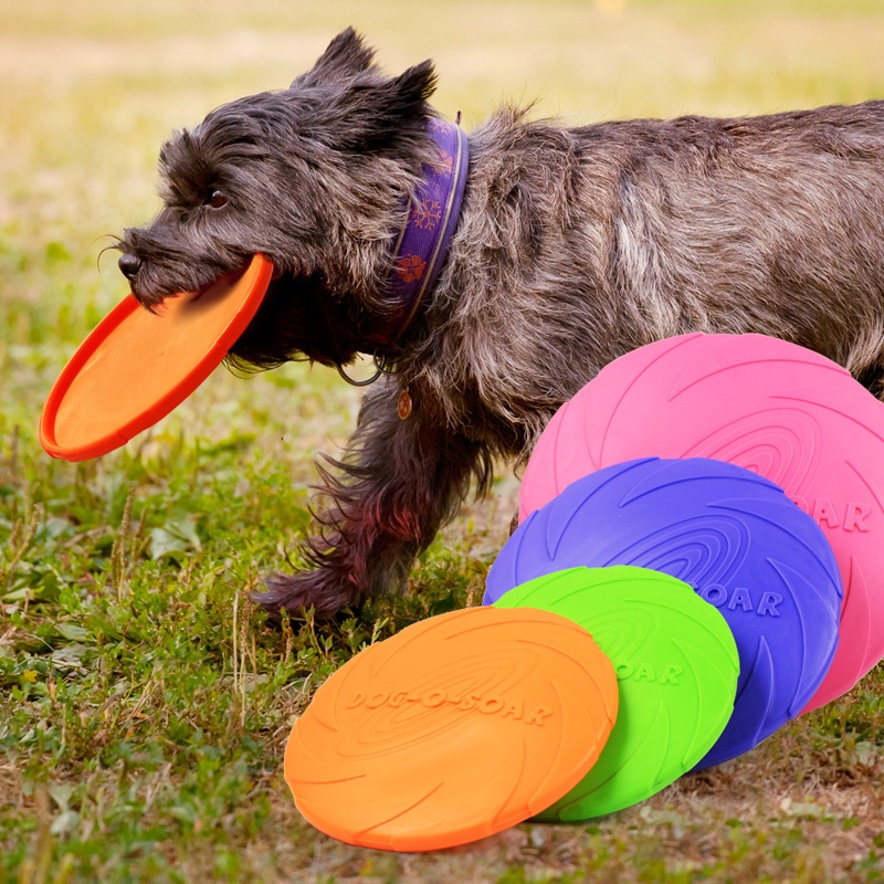 Dog Frisbee Golden bristle dog training dog practice pet toy bite ...