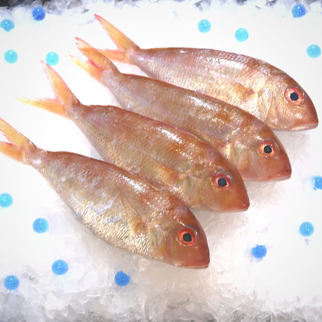 Fresh Baby White Snapper (Ang Go Li Kia) [300g] | Shopee Singapore
