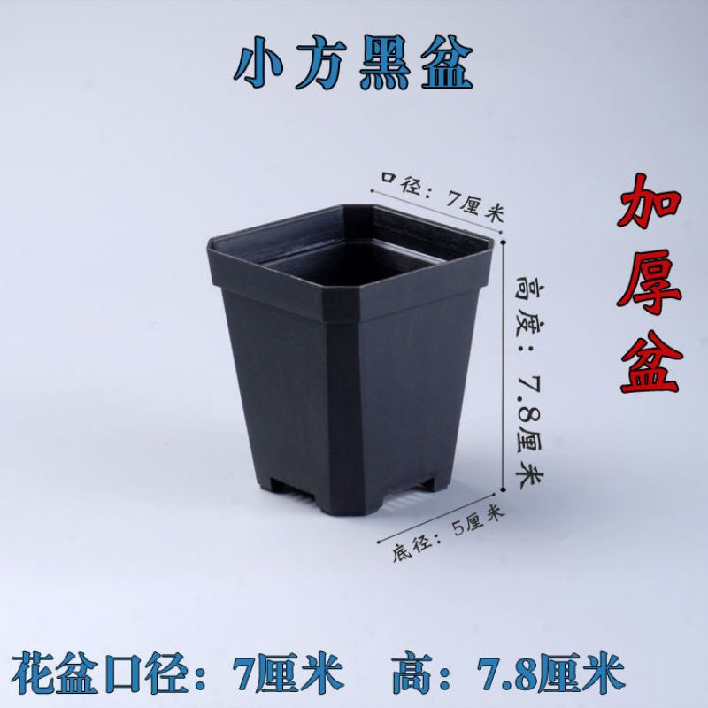 Thicken Plastic Flower Pot 10pcs Translucent White Black Square Flower ...
