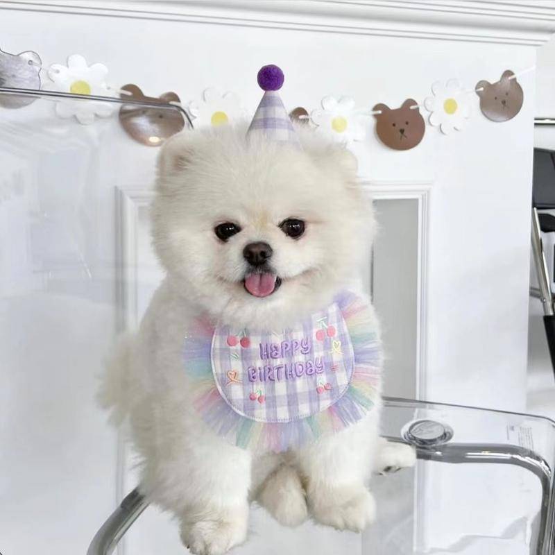Pet Birthday Hat Bib Korean Cute Happy Birthday Costume Embroidered Dog ...