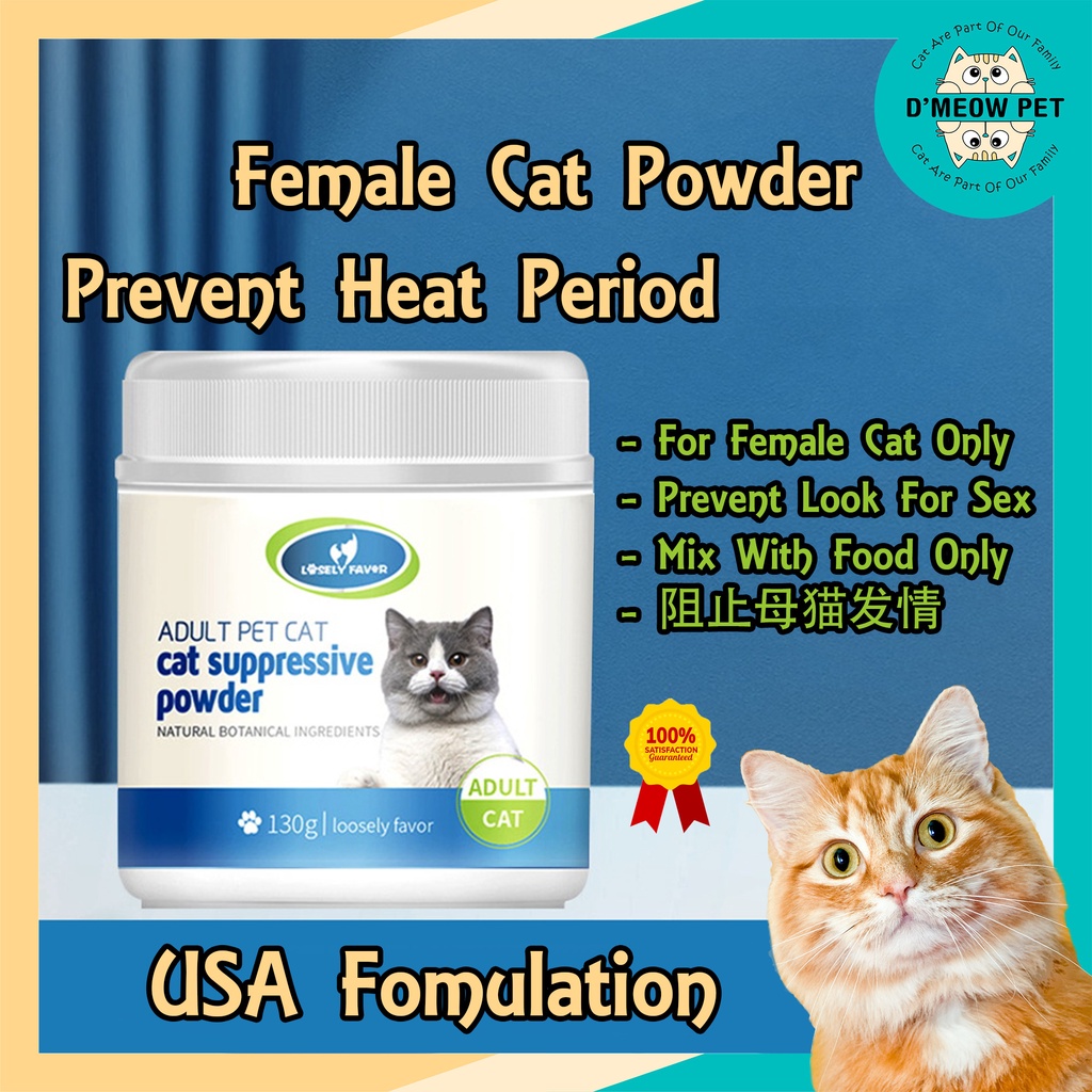 Maintain Emotional Stability during estrus Female Cat S3xual Prevention ...