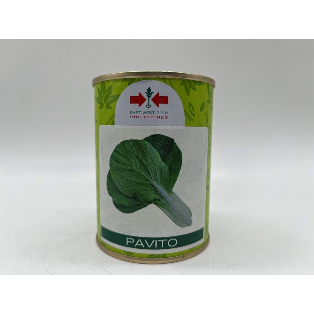 EASTWEST PAVITO PECHAY SEEDS BY EAST WEST (100 GRAMS CAN ) | Shopee ...