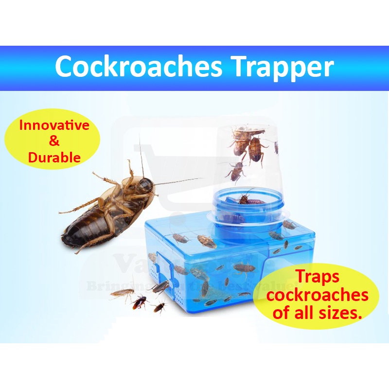 Non Toxic Reusable Cockroach Trap / Catcher Cockroach Trap Cockroach ...